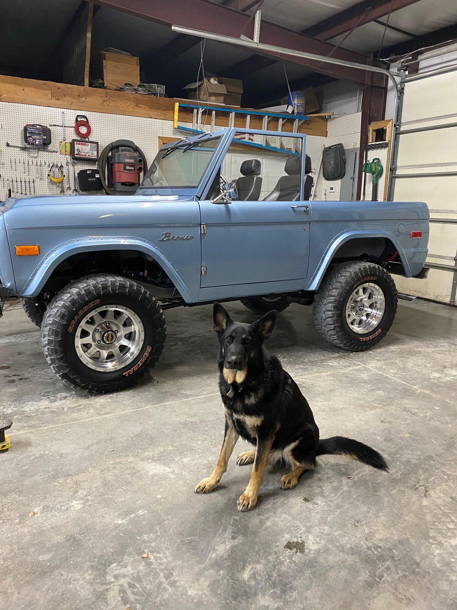 🐾 Show Us Your Dog + Bronco Photos! | Page 19 | Bronco6G - 2021+ Ford ...