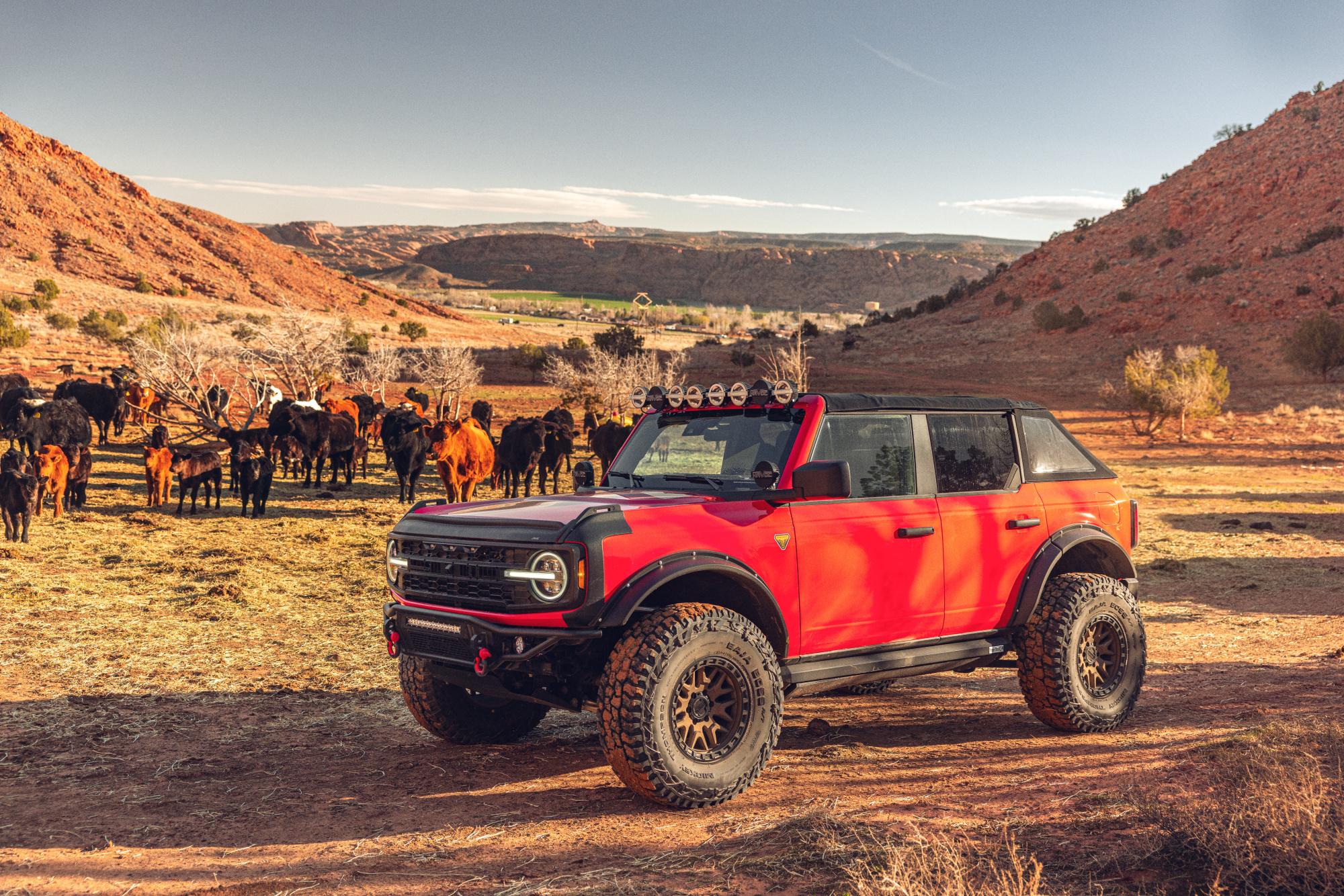 HAVOC EVOC Retro Fender Flares for the Modern Bronco | Bronco6G - 2021 ...