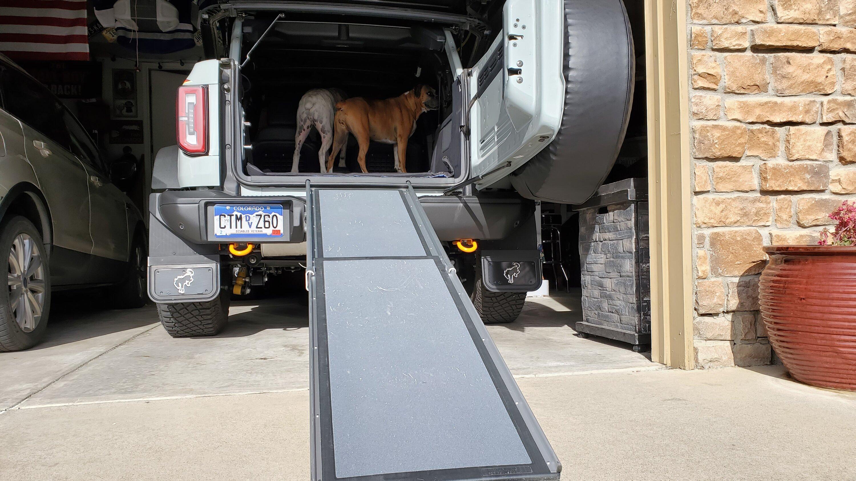 Dog paw caught on factory rear bumper | Page 2 | Bronco6G - 2021+ Ford ...