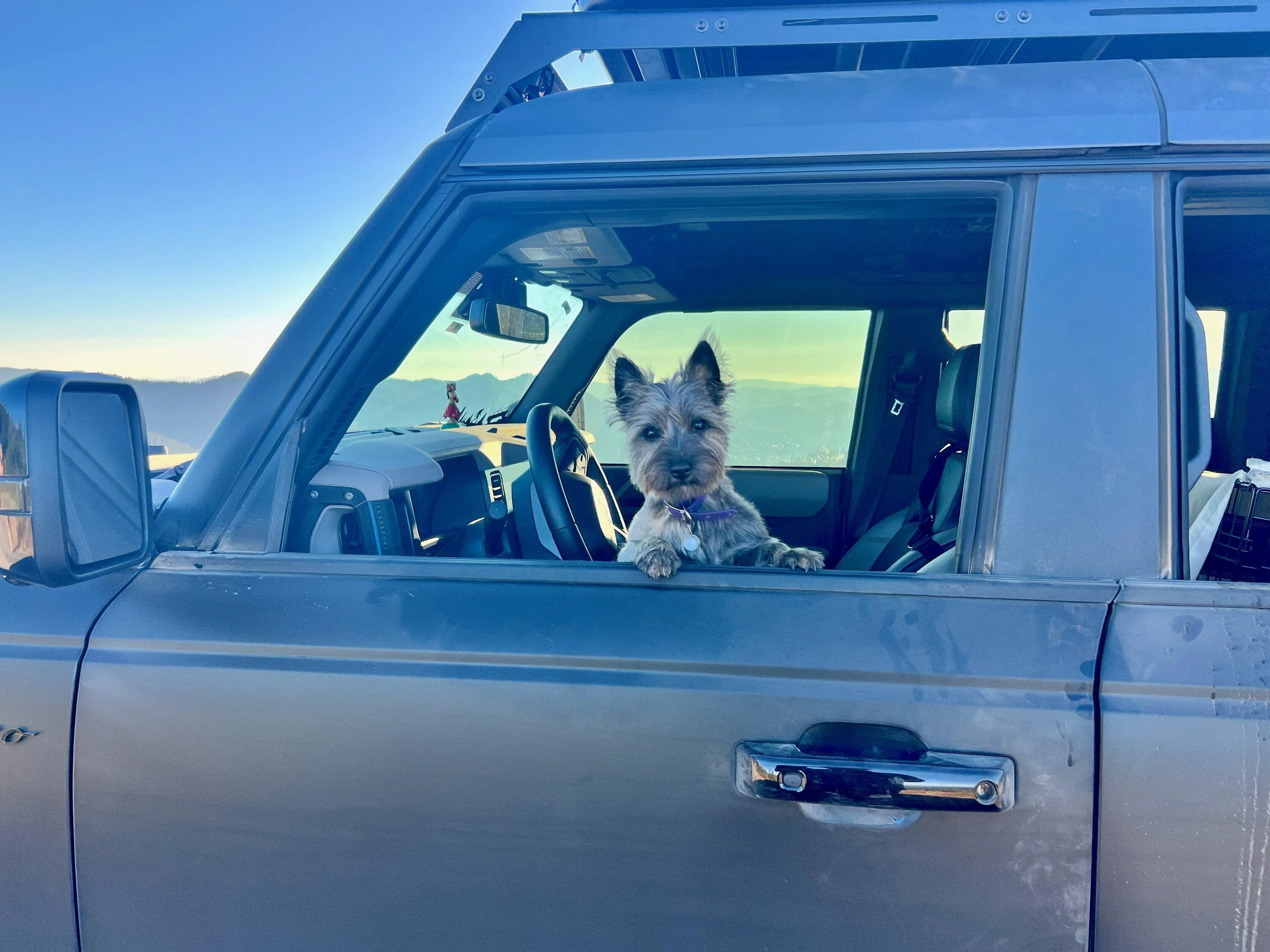 🐾 Show Us Your Dog + Bronco Photos! | Page 16 | Bronco6G - 2021+ Ford ...