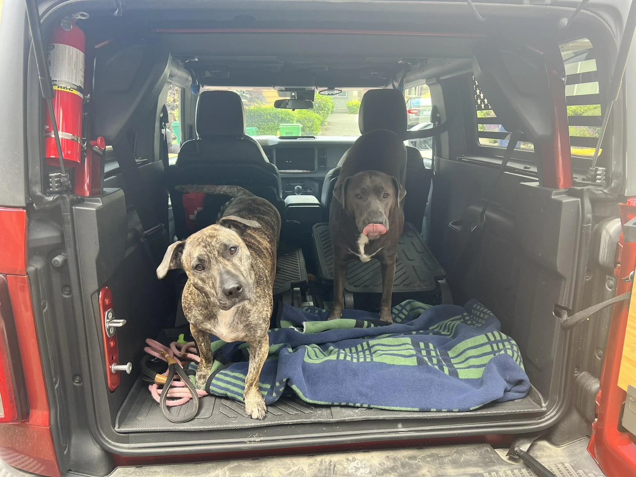 🐾 Show Us Your Dog + Bronco Photos! | Page 46 | Bronco6G - 2021+ Ford ...