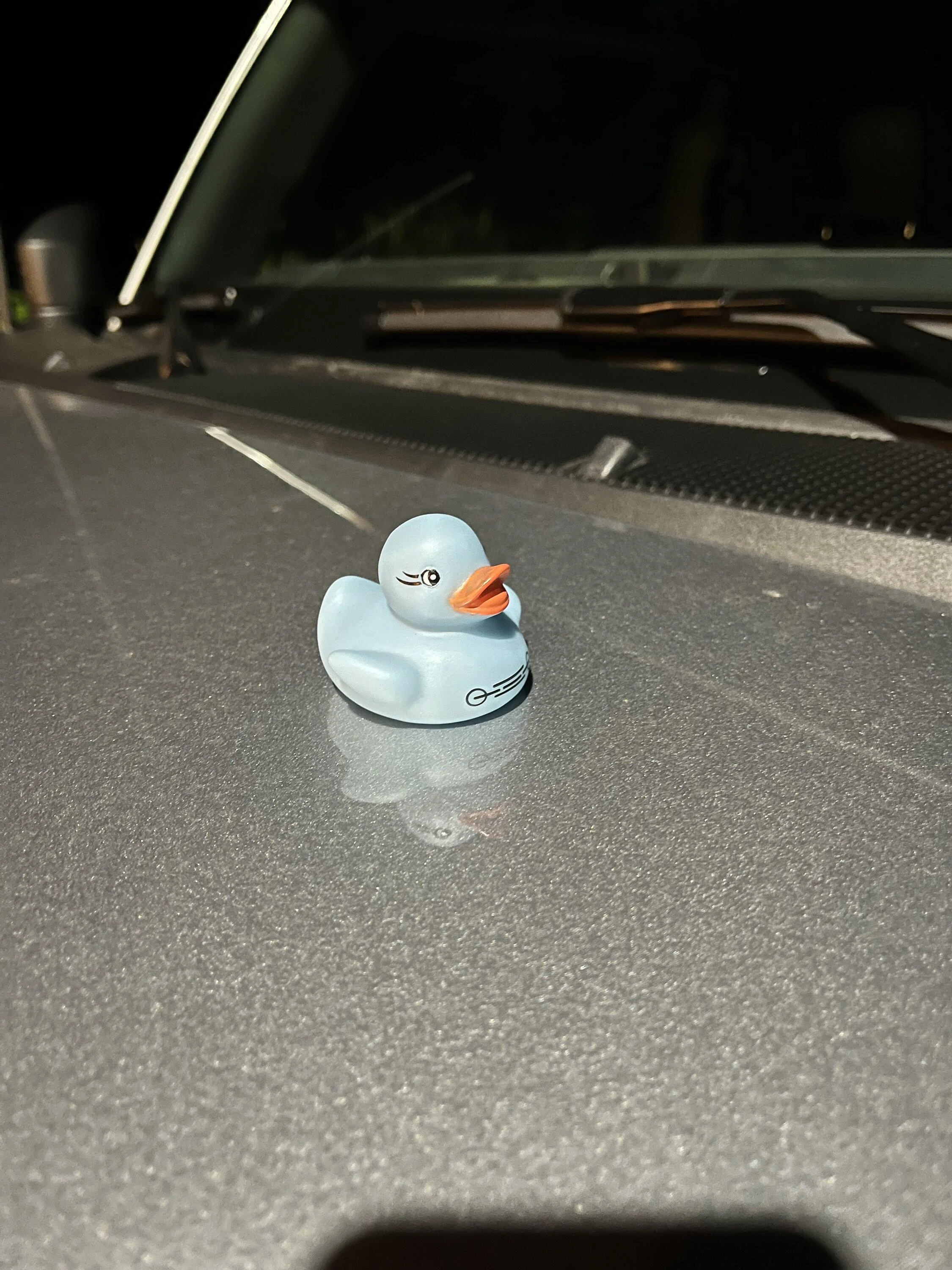 Bronco Duck? | Bronco6G - 2021+ Ford Bronco & Bronco Raptor Forum, News ...