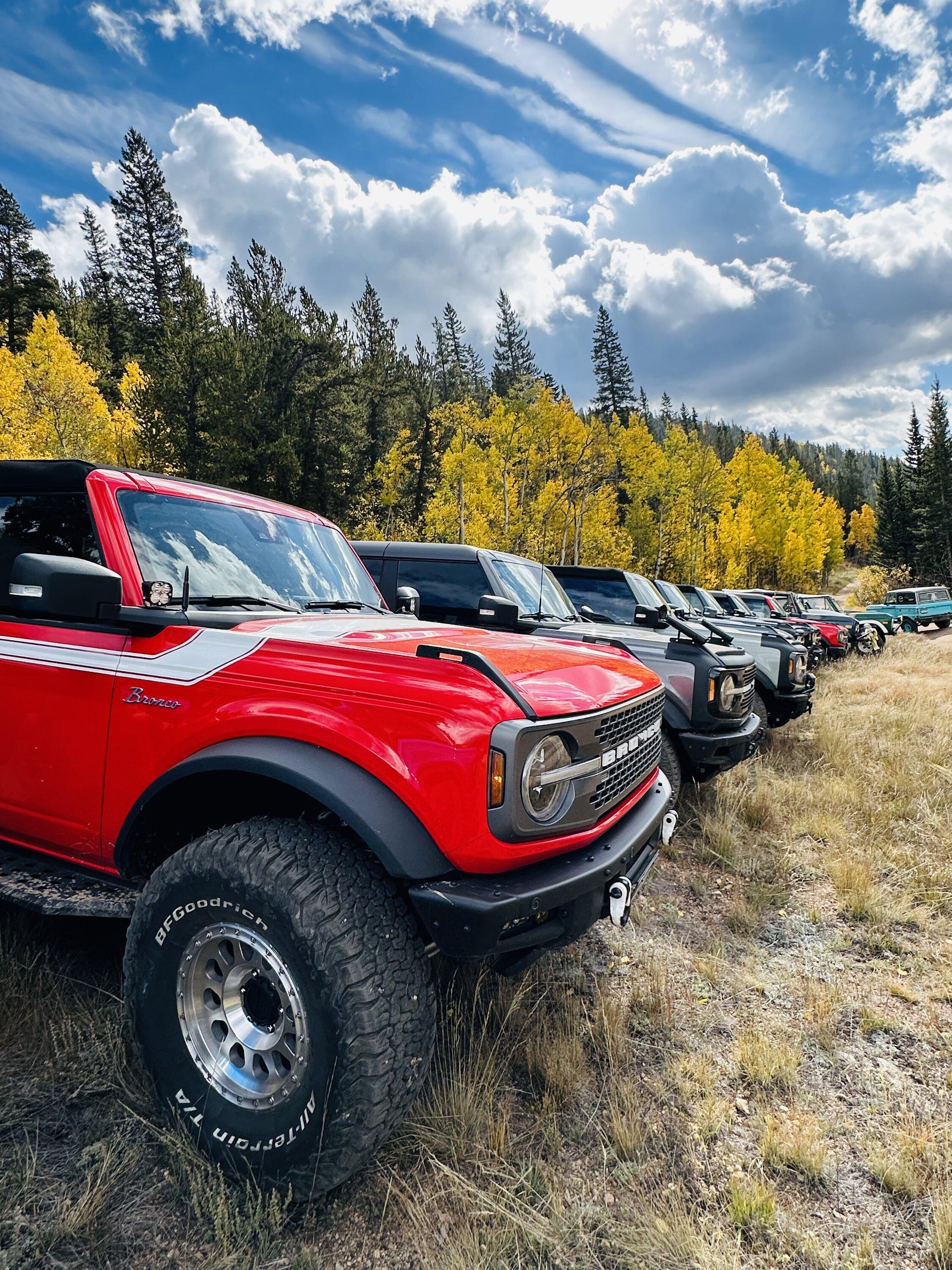 Show me your Bronco - Graphics / Decals / Wrapped Edition | Page 2 ...