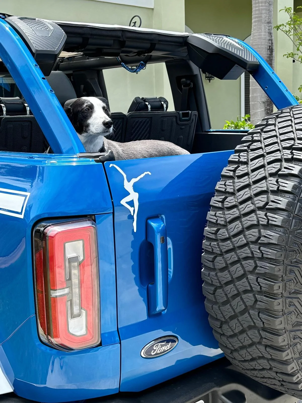 🐾 Show Us Your Dog + Bronco Photos! | Page 43 | Bronco6G - 2021+ Ford ...