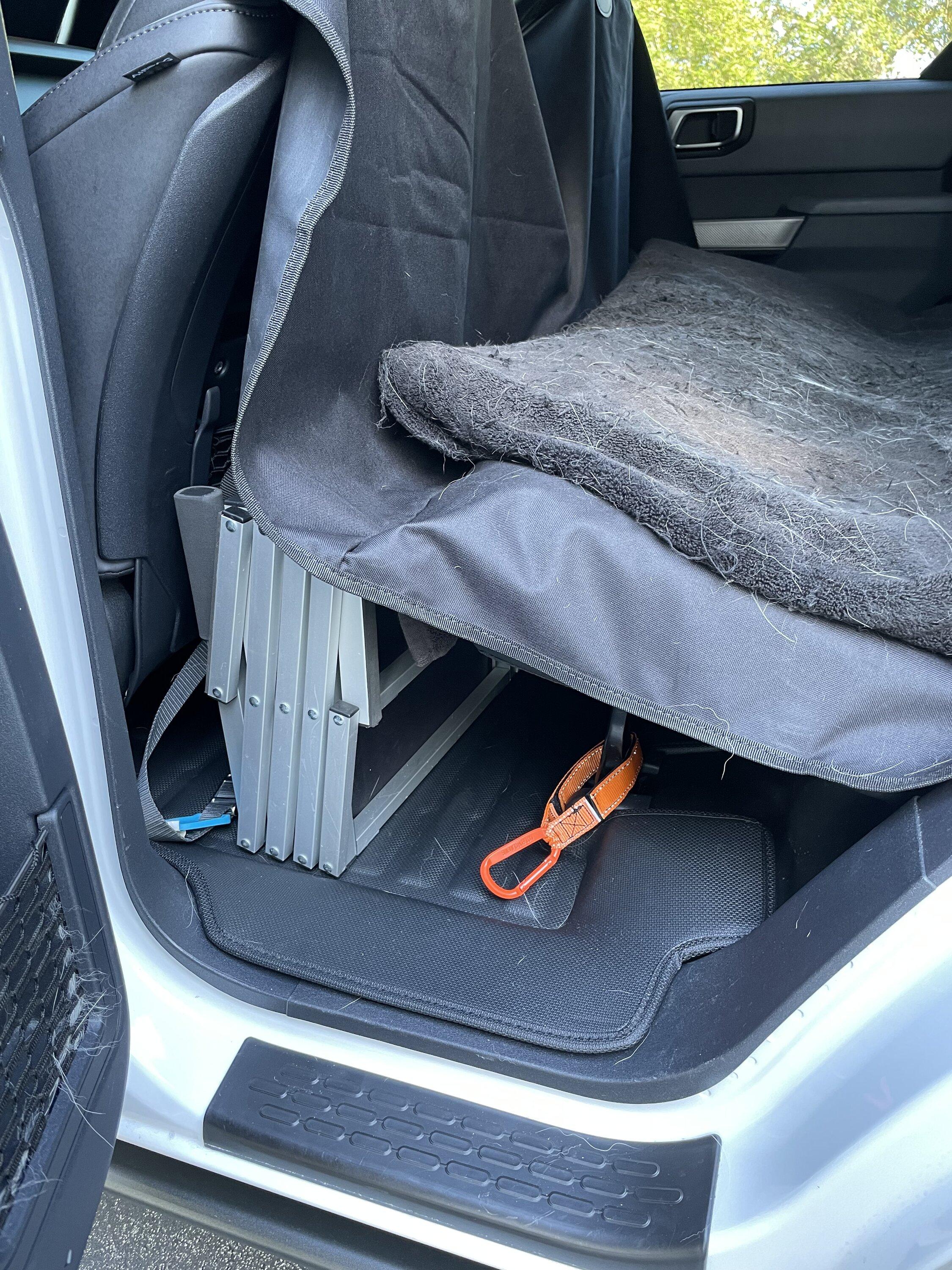 Best setup for a dog passenger side or in the cargo space | Bronco6G ...