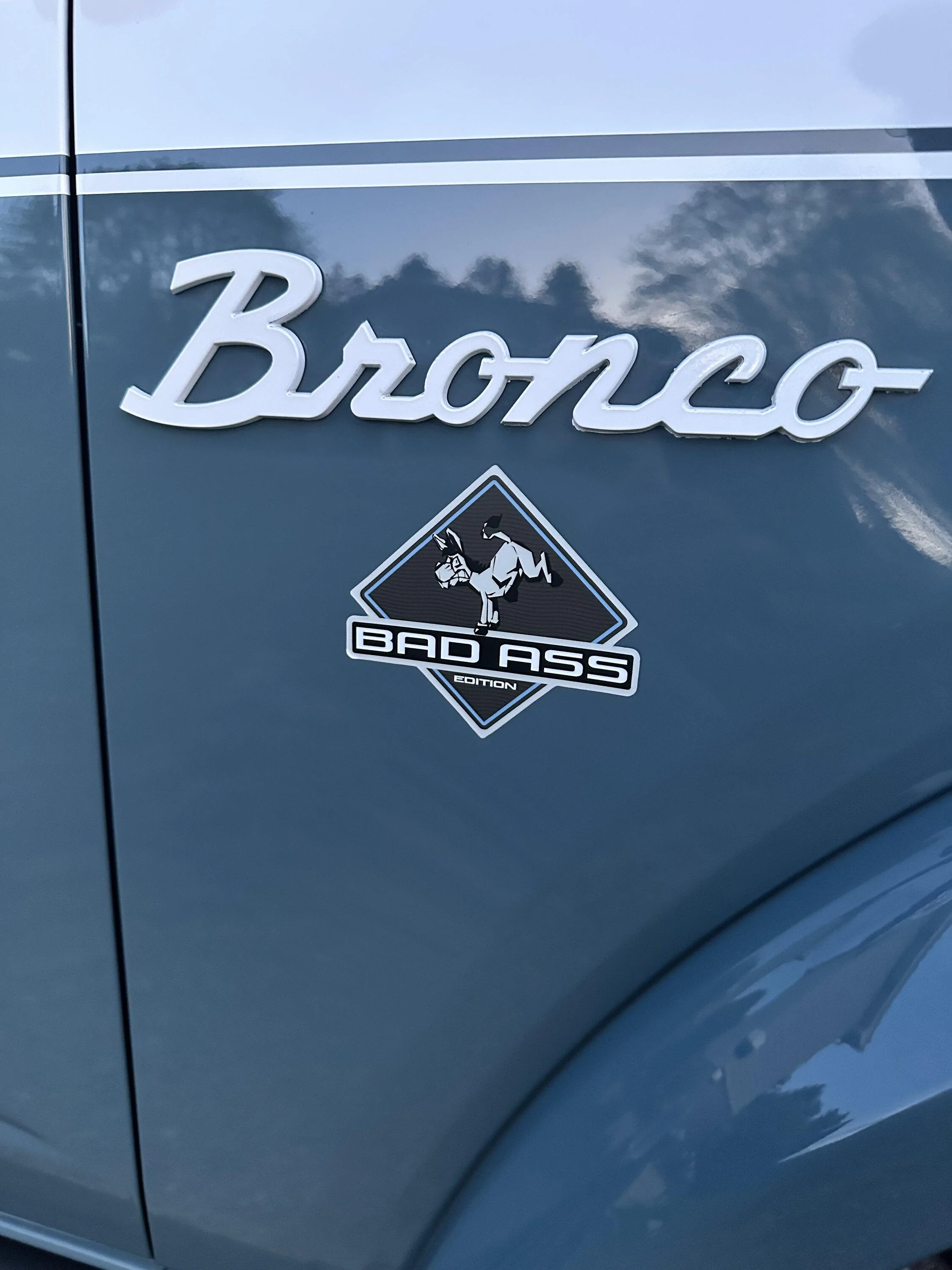 Put any cool / unique vinyl decals on your Bronco? Let's see them ...