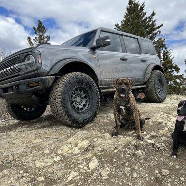 Is the JB4 tuner worth it? Uh, yeah!!! Installation, 0-60 & Dyno ...