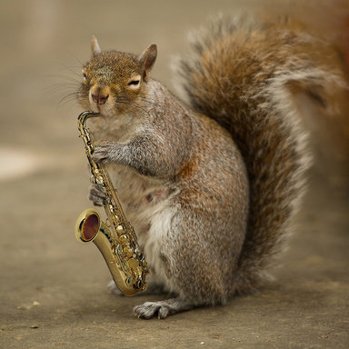 Best Uncovered Looks Yet! Black 4 Door Bronco + 2 Door Without Top ...
