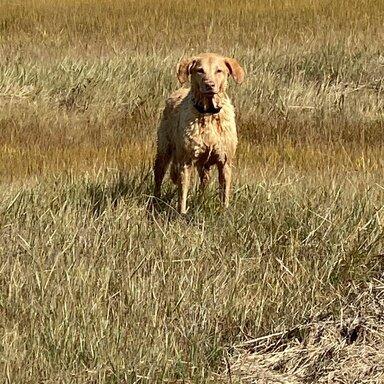 Cargo space solution: pakmule | Page 5 | Bronco6G - 2021+ Ford Bronco ...