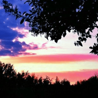 G.O.A.T Breakdown! GOAT drive modes availability for each model / trim ...