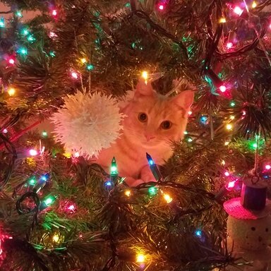 Beachin 74 | Bronco6G - 2021+ Ford Bronco & Bronco Raptor Forum, News ...