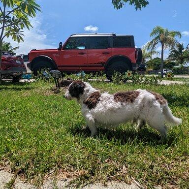 Kayak roof rack bronco 2022 | Bronco6G - 2021+ Ford Bronco & Bronco ...