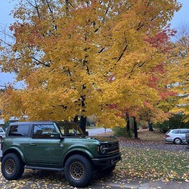 Bronco Script Emblems (Ford Official Licensed) now available: photos ...
