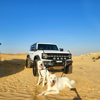 Bronco 2.7 ZFGR Custom Tuning (with hp tuners) update | Bronco6G - 2021 ...