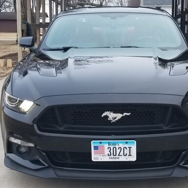 Bronco Trim Model Badge / Logo / Emblem Sticker Part Numbers | Bronco6G ...