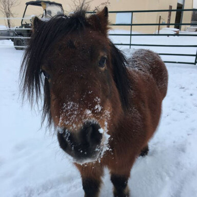 HD Modular Bumper now available from Ford Performance Parts | Bronco6G ...