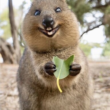 2021 Bronco GVWR Ford Q&A and Curb Weight / Payload Details | Bronco6G ...