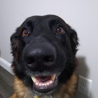 2021 Bronco GVWR Ford Q&A and Curb Weight / Payload Details | Bronco6G ...