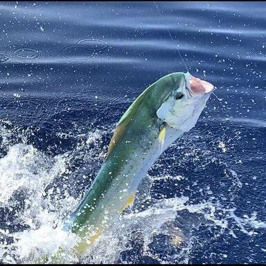 2021 Bronco Crash Tests and Safety Ratings | Bronco6G - 2021+ Ford ...