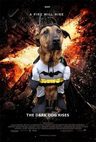 adrock | Bronco6G - 2021+ Ford Bronco & Bronco Raptor Forum, News, Blog ...