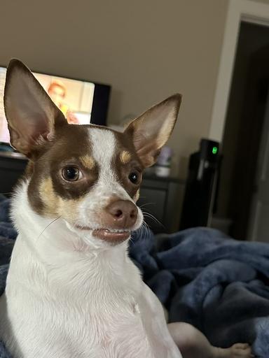 Badonkadonk | Bronco6G - 2021+ Ford Bronco & Bronco Raptor Forum, News ...