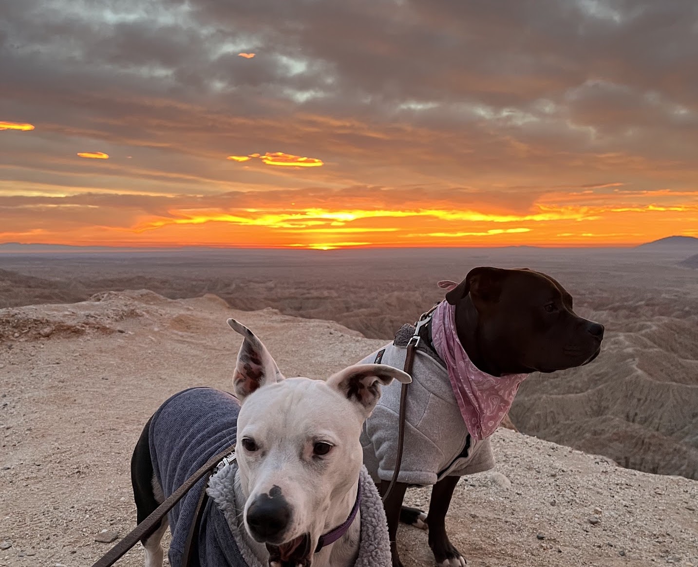 Incredible canyons and desert sunrises off-roading in Anza Borrego ...