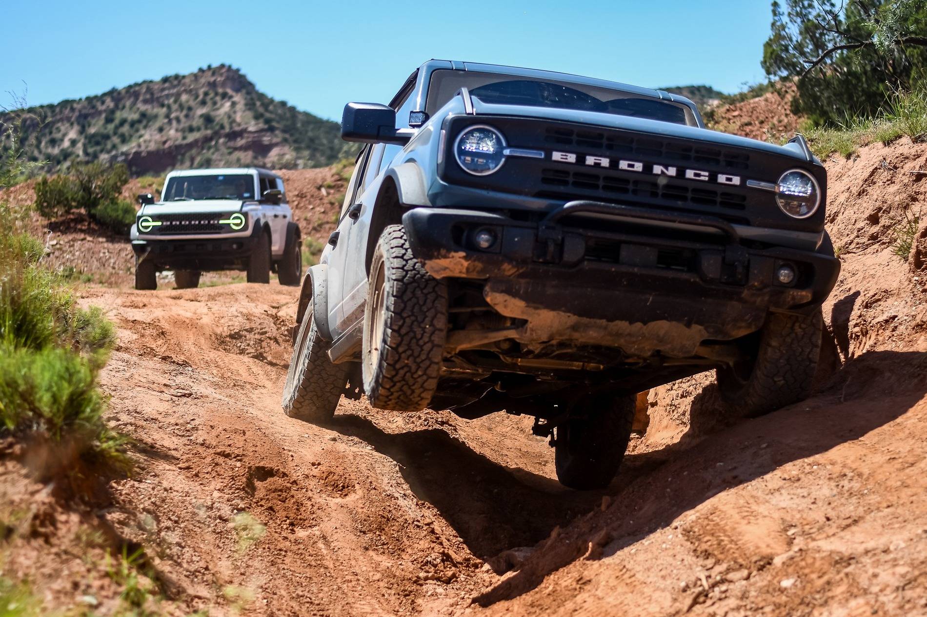 Merus Adventure Park Blue Tours | Bronco6G - 2021+ Ford Bronco & Bronco ...